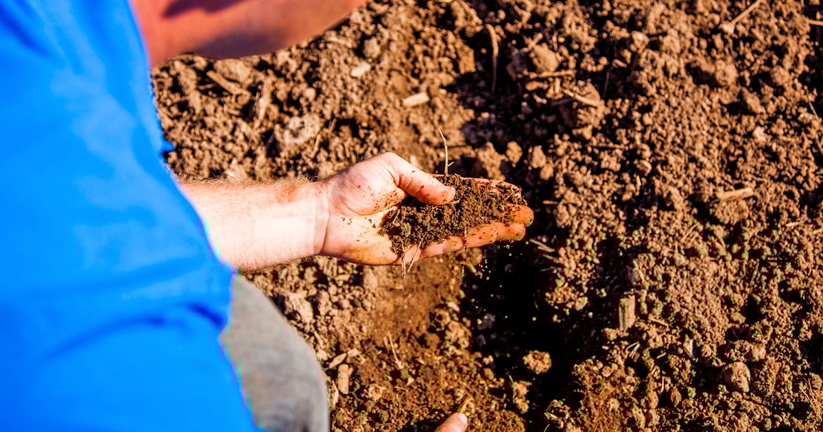Tips For Fall Soil Prep