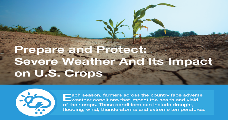 Severe weather impact on U.S. crops: Prepare and protect | Farm Progress