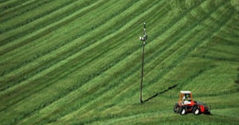 When To Take Your Last Alfalfa Cutting