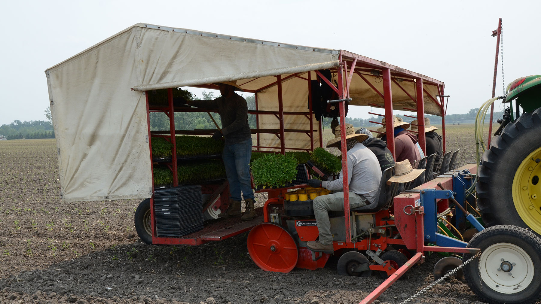 Growers urged to complete ag labor survey