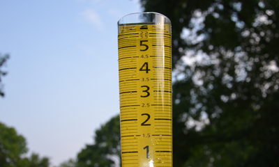 Economics of spoon-feeding nitrogen goes under microscope