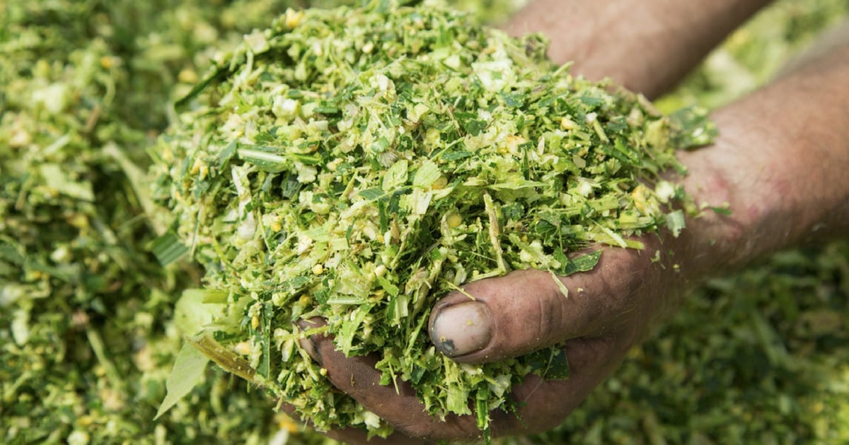 Best Practices for Handling Silage