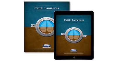 New book looks at cattle lameness