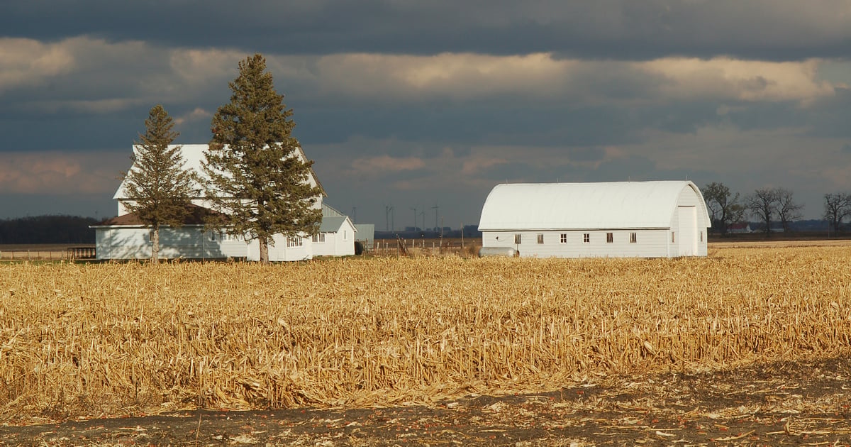 2021: A good year to write your farm transition plan