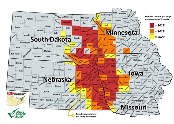 Soybean gall midge: Battling a new pest in the Midwest