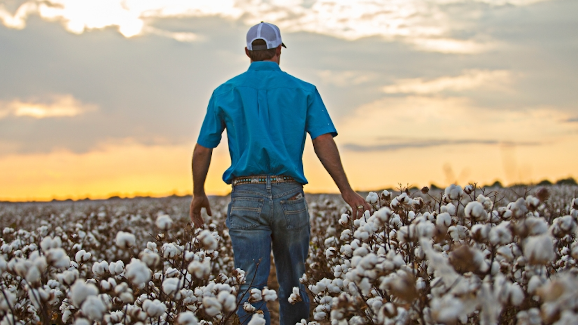 From the Field to the Finish Line: Seeding Success