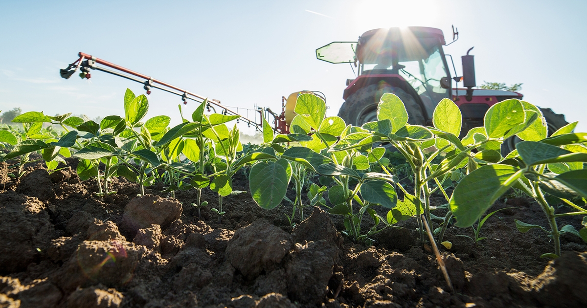 A refresher on dicamba label changes