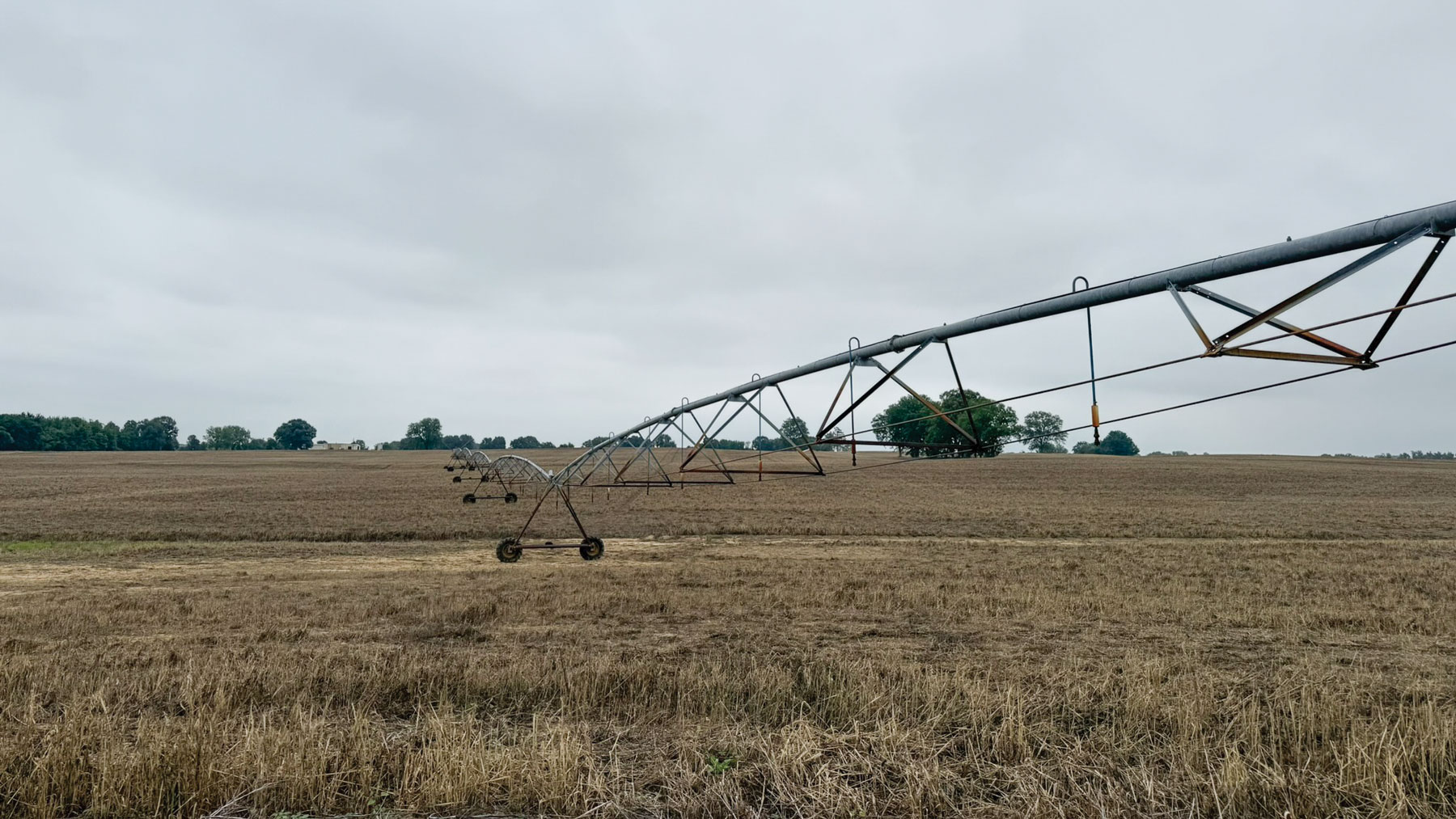 Family builds on past success with subsurface drip irrigation