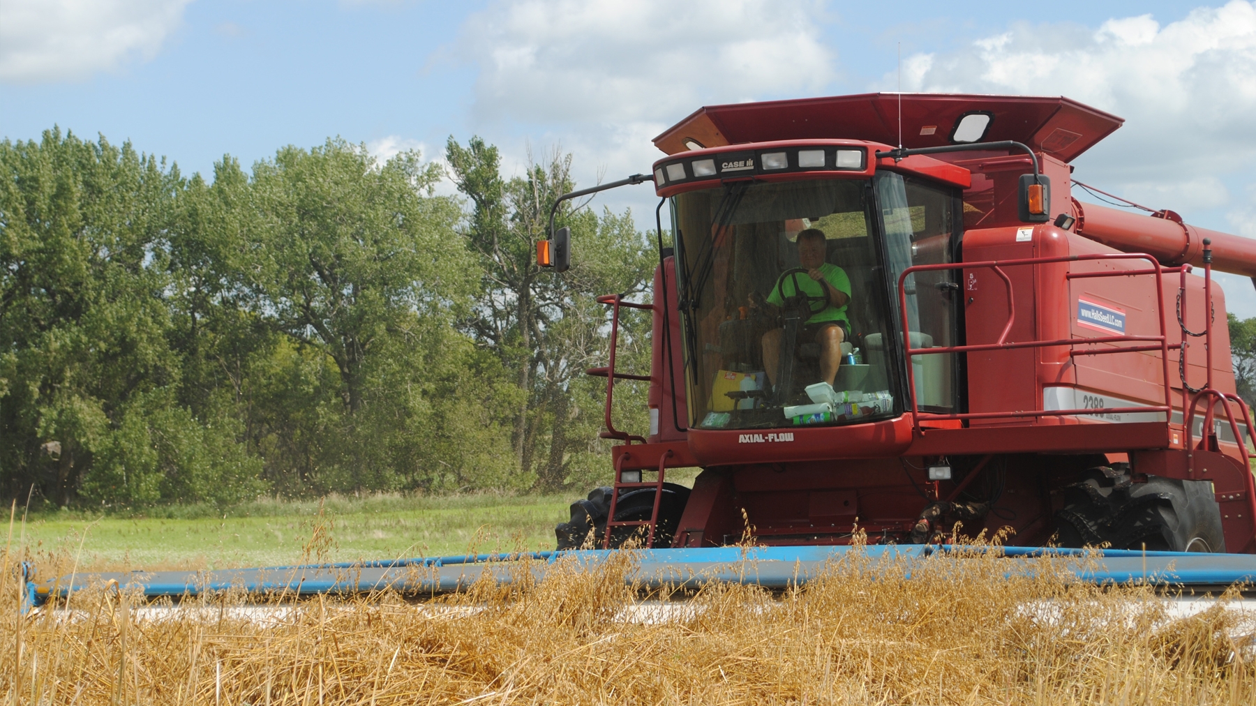 Small grains in crop rotations: Soil health benefits, marketing challenges