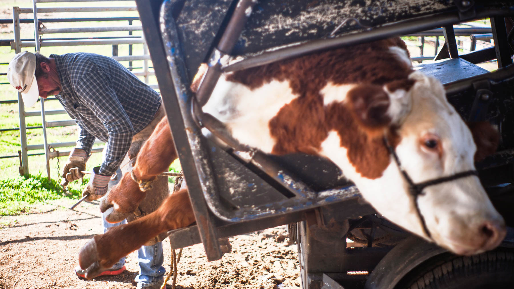 Farm Futures morning market commentary