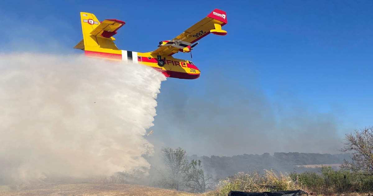 Drone, firefighting aircraft have near miss during wildfire