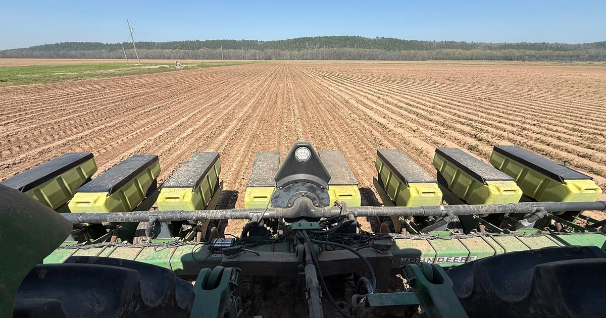 Drought, input costs reshape Arkansas’ planting plans