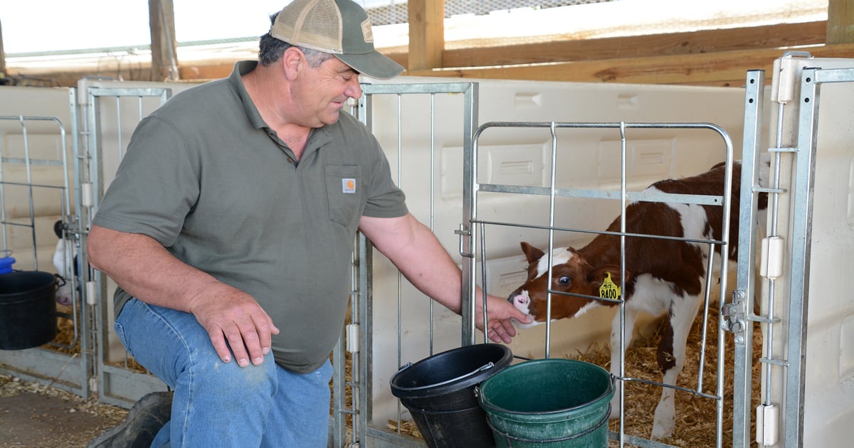 A dairy built with joy and hard work