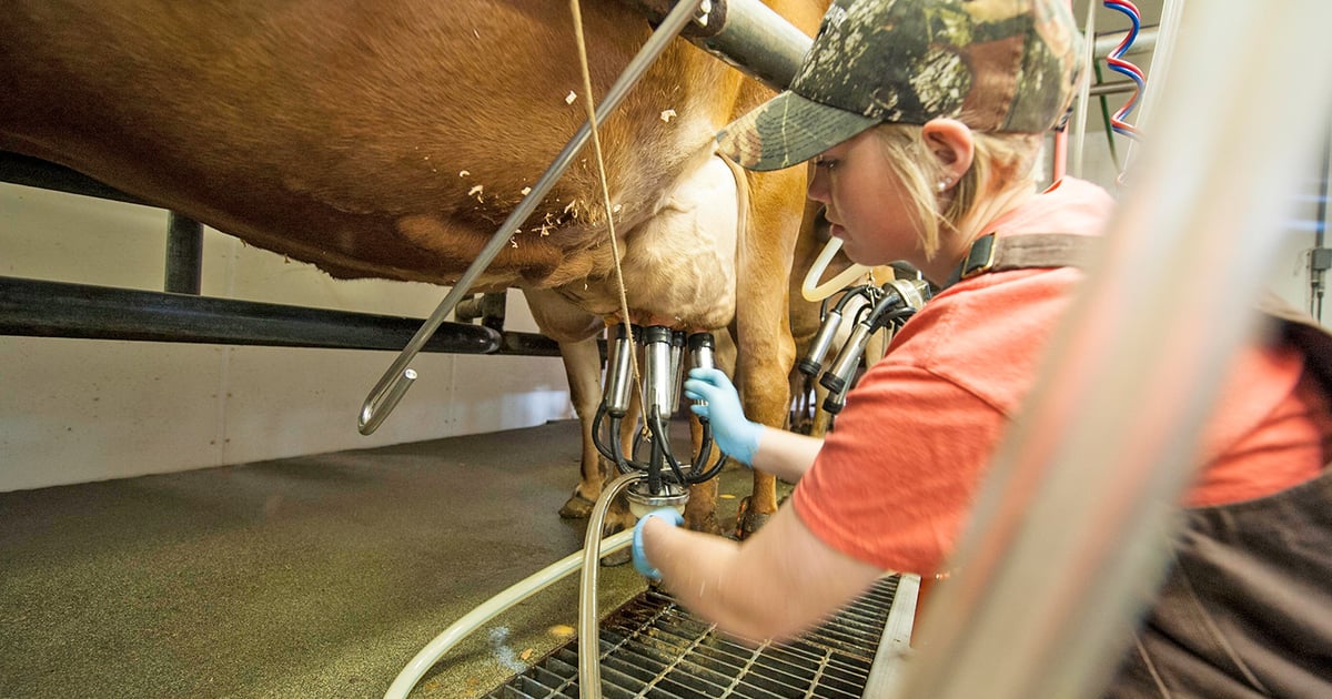 New tool for managing mastitis