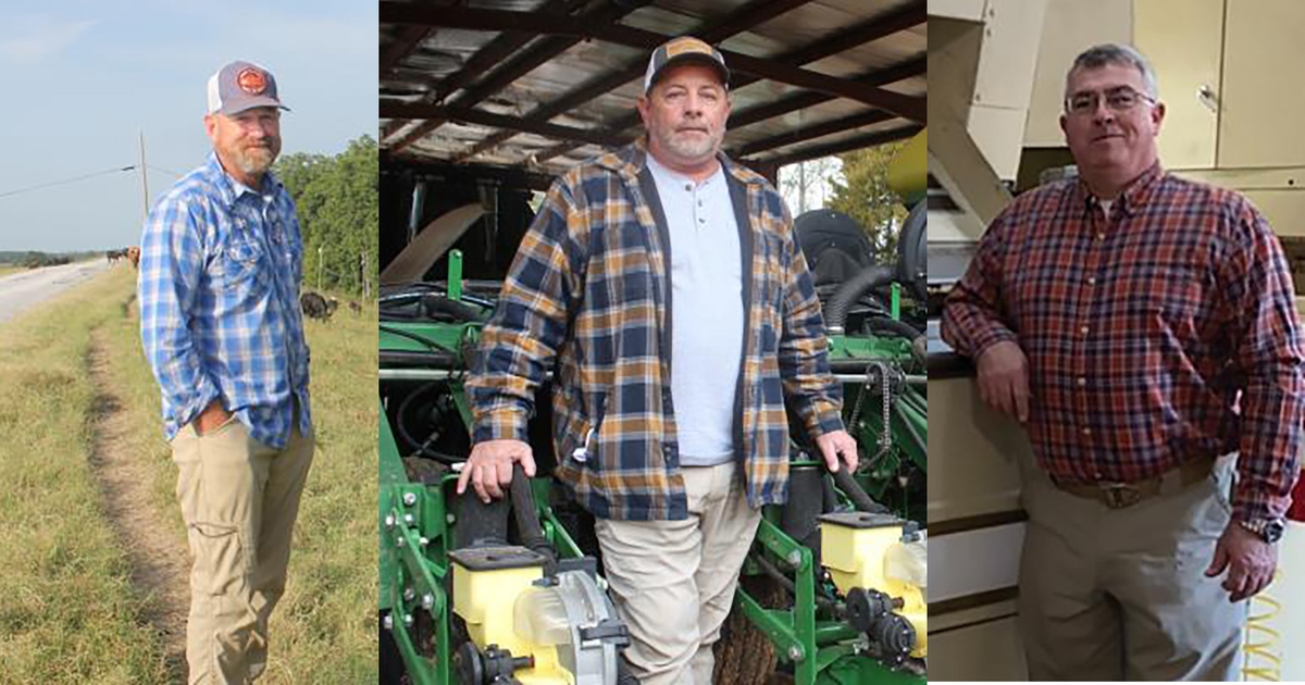 Top 12 stories in 2021 on Delta Farm Press | Farm Progress