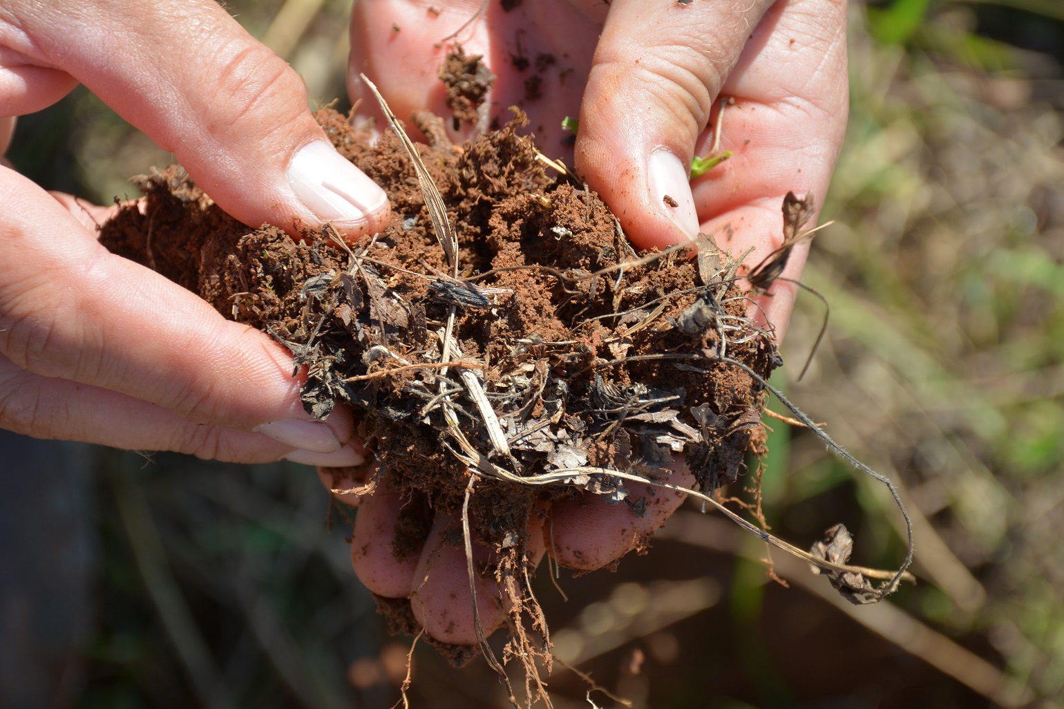 Dirt versus soil: A little explanation
