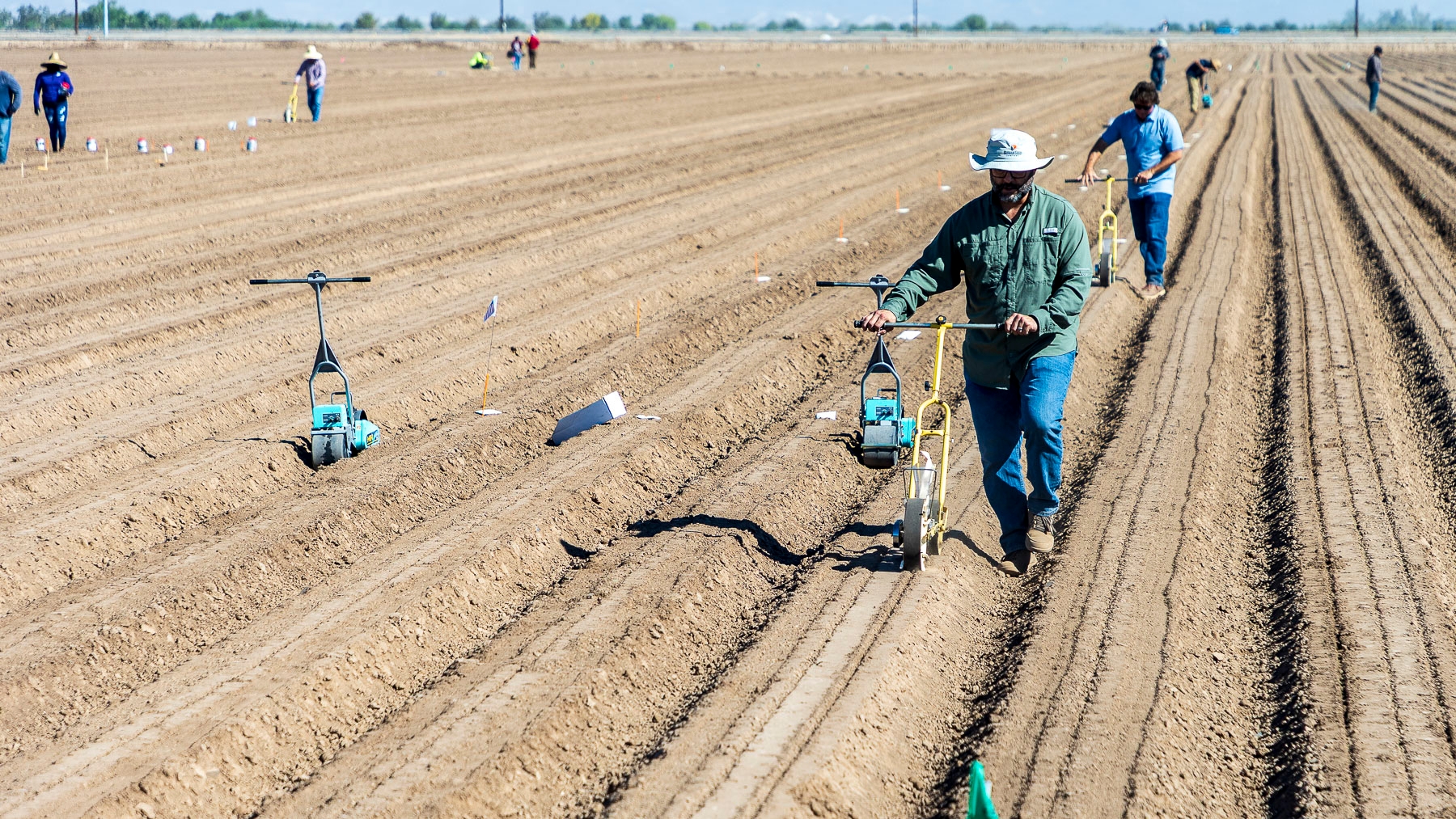 Inside look at how corn kernels develop