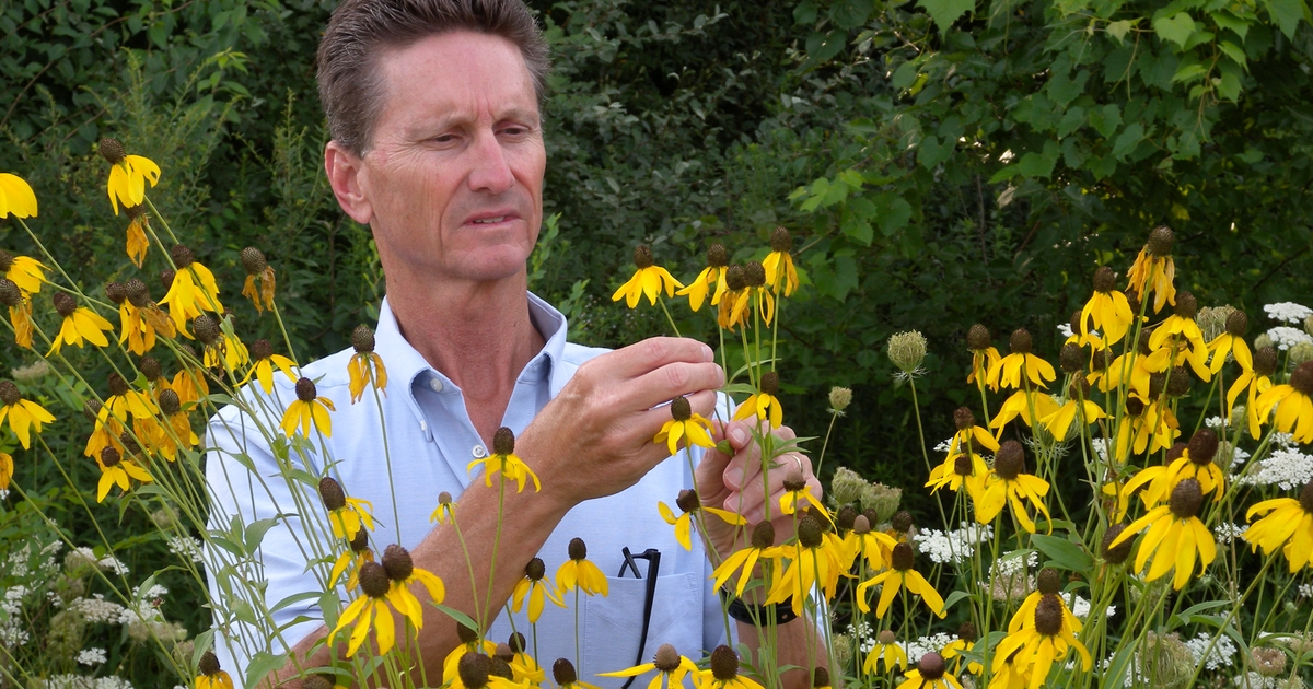 Indiana native captures variety of roadside plants in new book