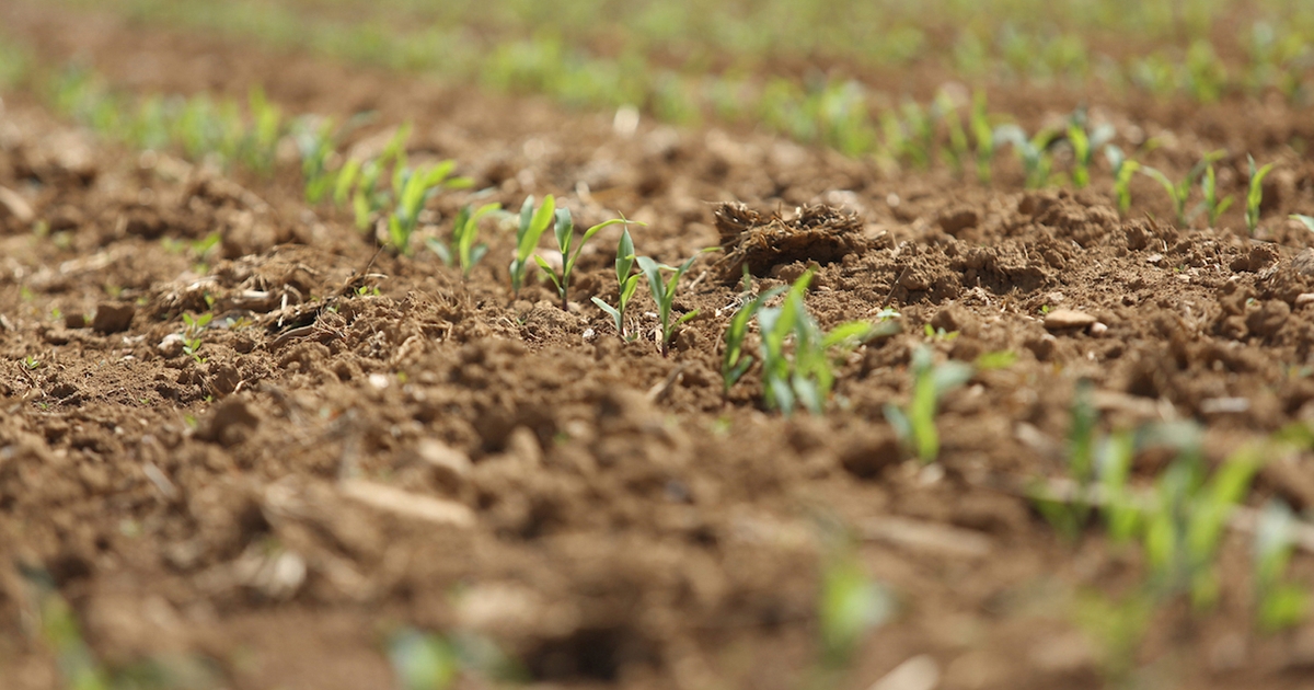How does your crop nutrition plan stack up?