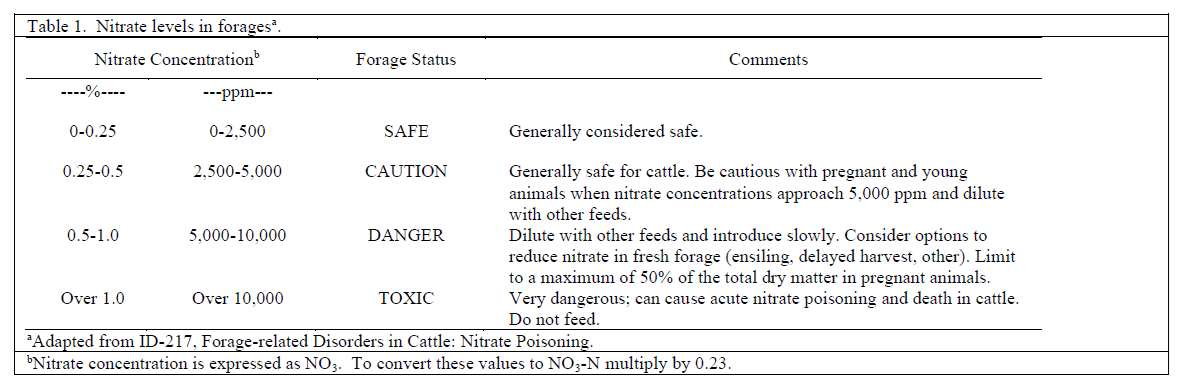 Managing nitrates and prussic acid in forages
