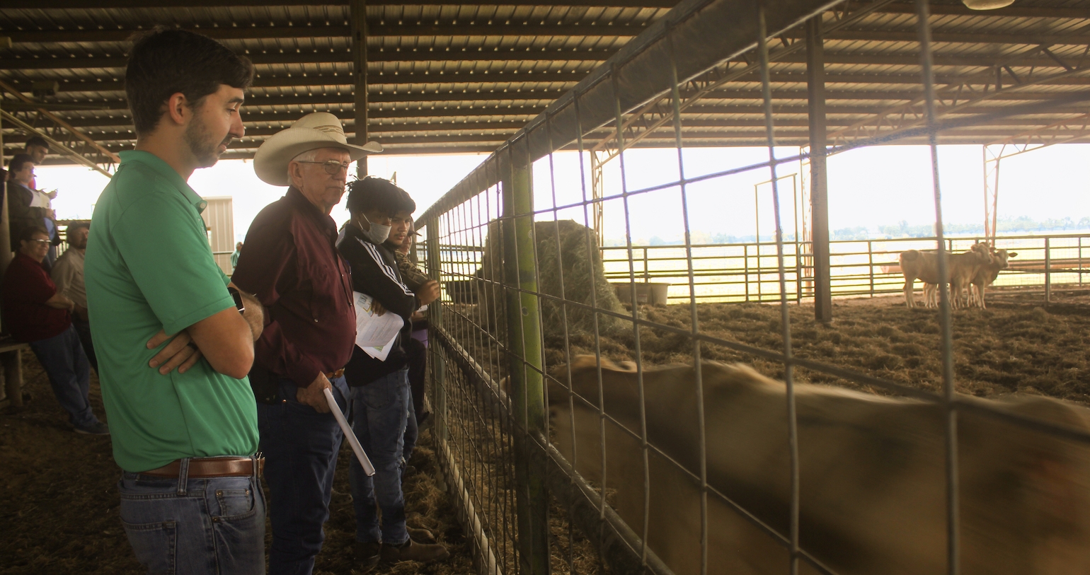 Three takeaways from the LSU Beef and Forage Field Day | Farm Progress