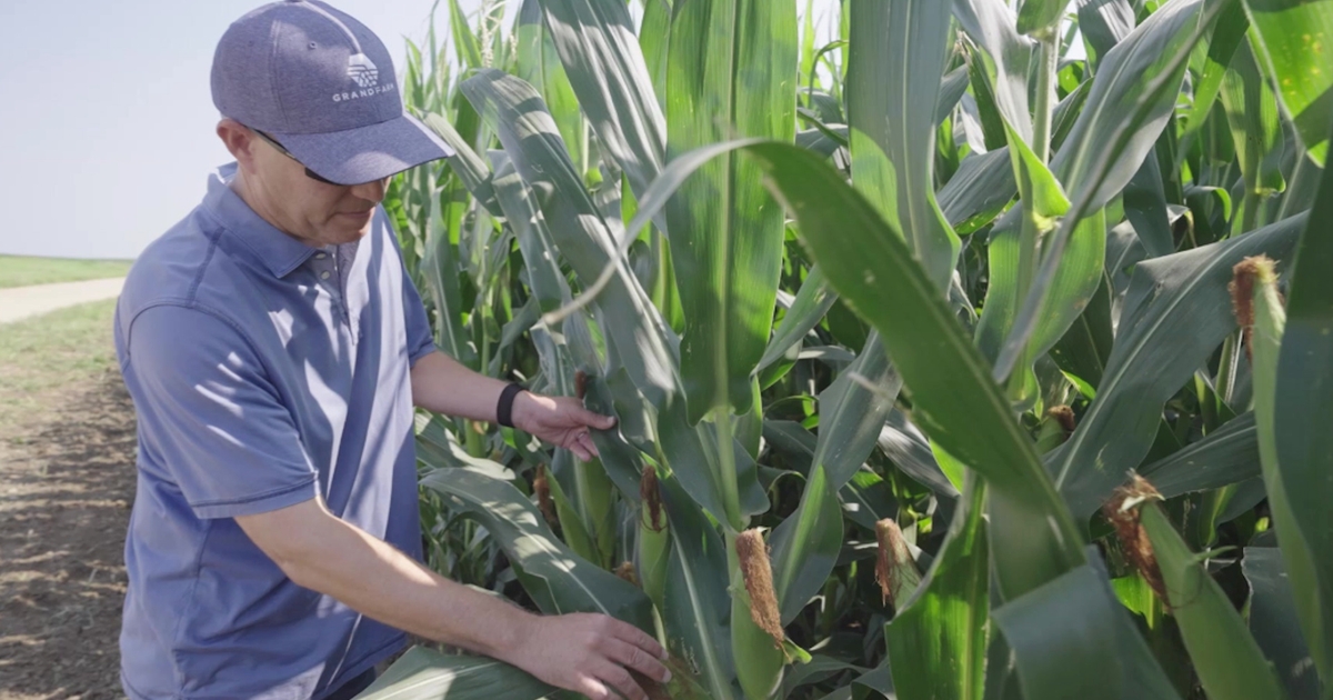 Boost Weed Control With Resicore® REV