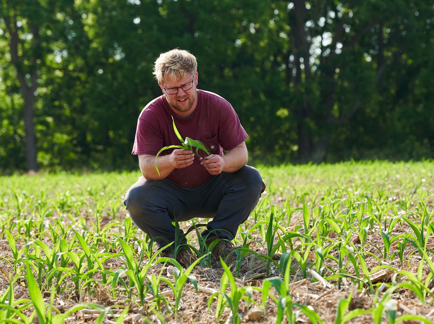 Tough Broadleaves Alter Farmer’s Herbicide Plans