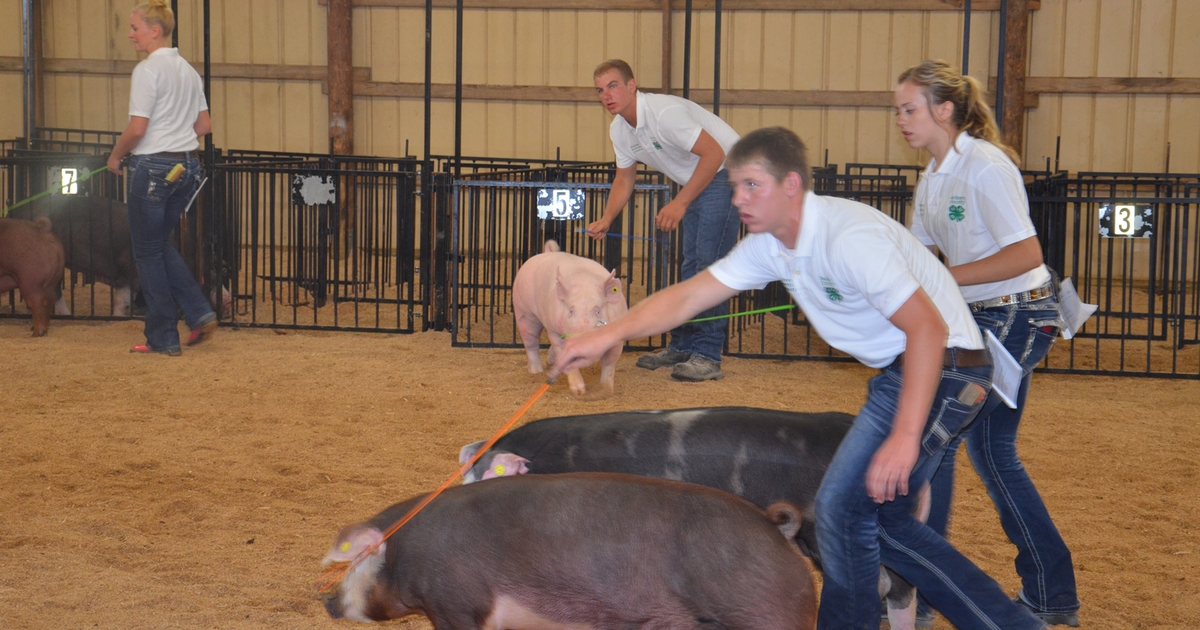 Steve Nichols recalls memorable hog show moments