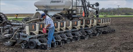 20-inch corn goes head-to-head with 30-inch corn
