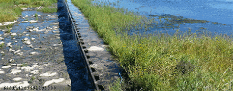 Designing water quality practices for your fields