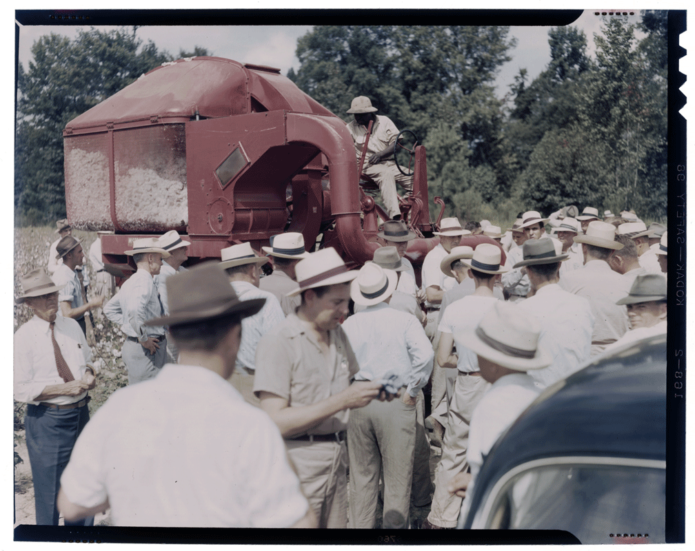 (Gallery) A look at Georgia cotton harvest, production from 70 years ...