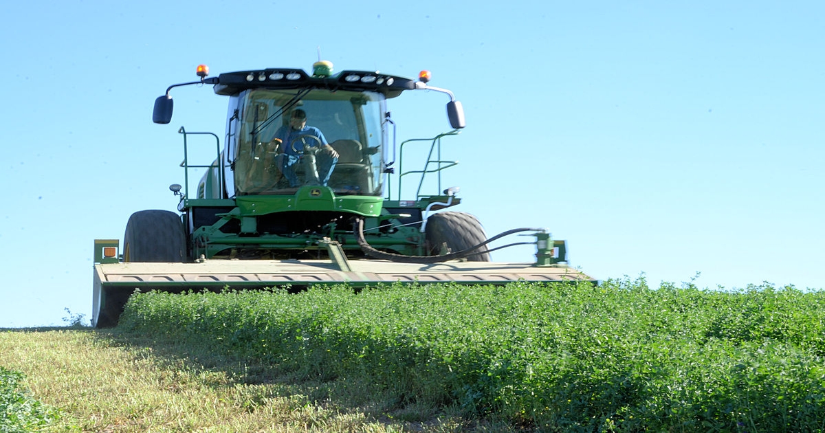 Autosteering windrower does more that boost productivity