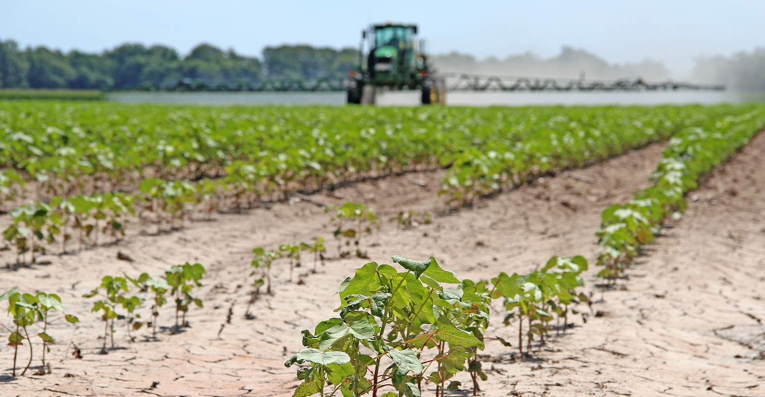 How to manage the development of insecticide resistance