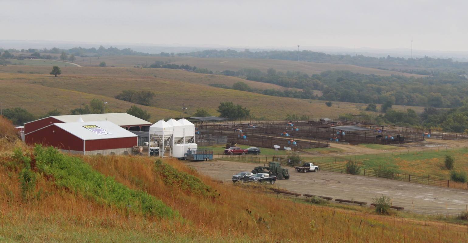 K-State sets Beef Stocker Field Day for Sept. 29