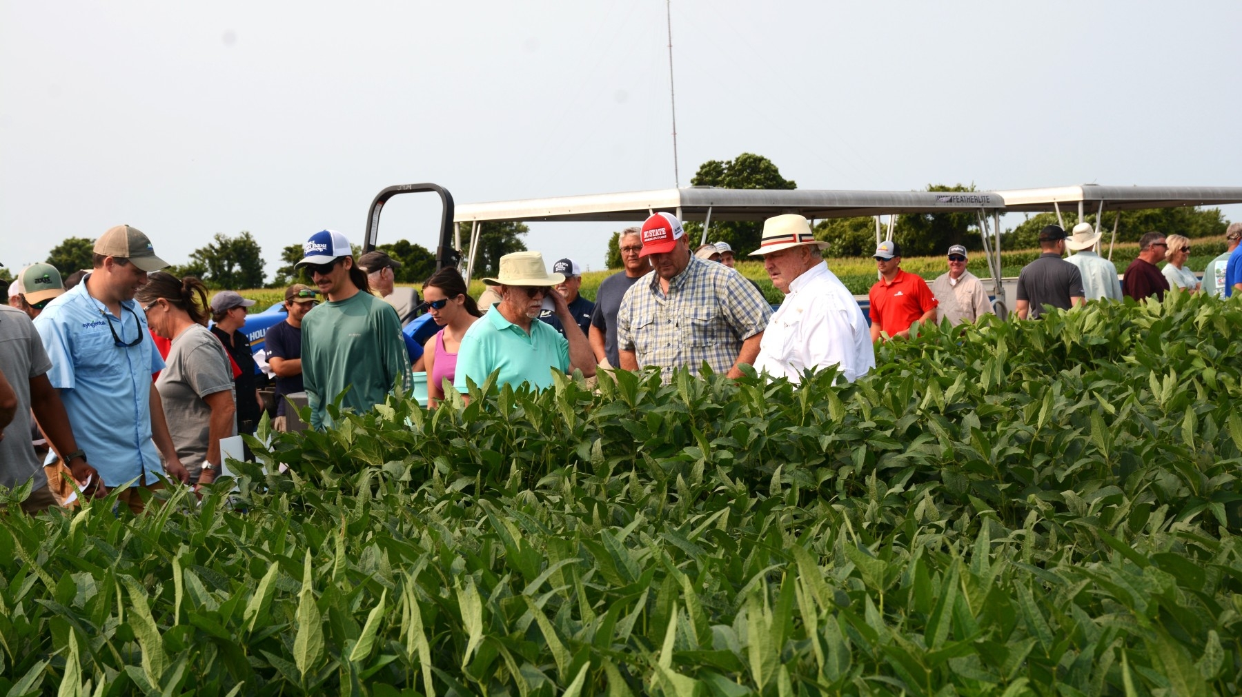 Largest farm field day in N.C. set for Aug. 7