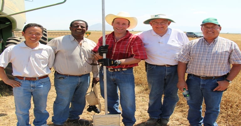 Maximum combine performance helps alfalfa seed profitability