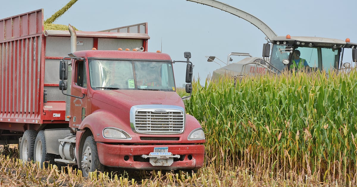 Optimize corn hybrid selection