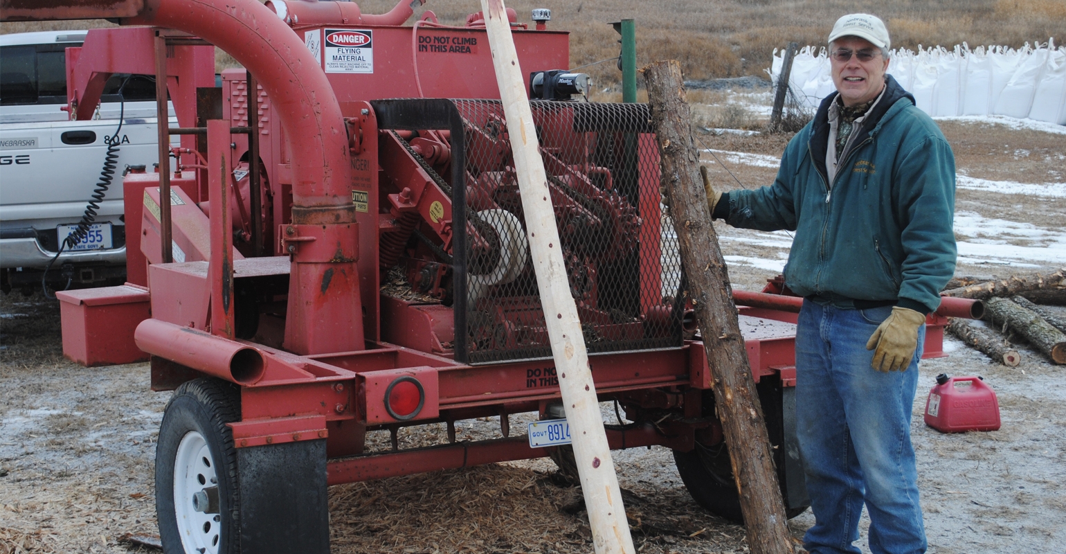 Which cedar trees make the best fence posts?