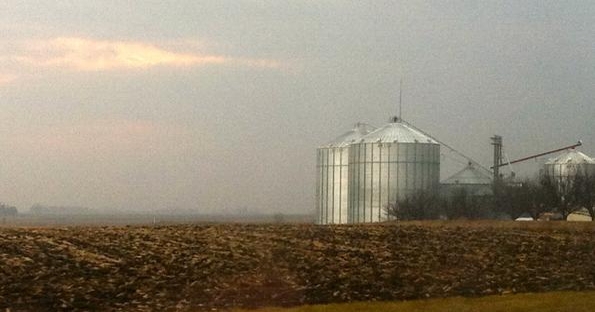 Grain storage: What are my options?