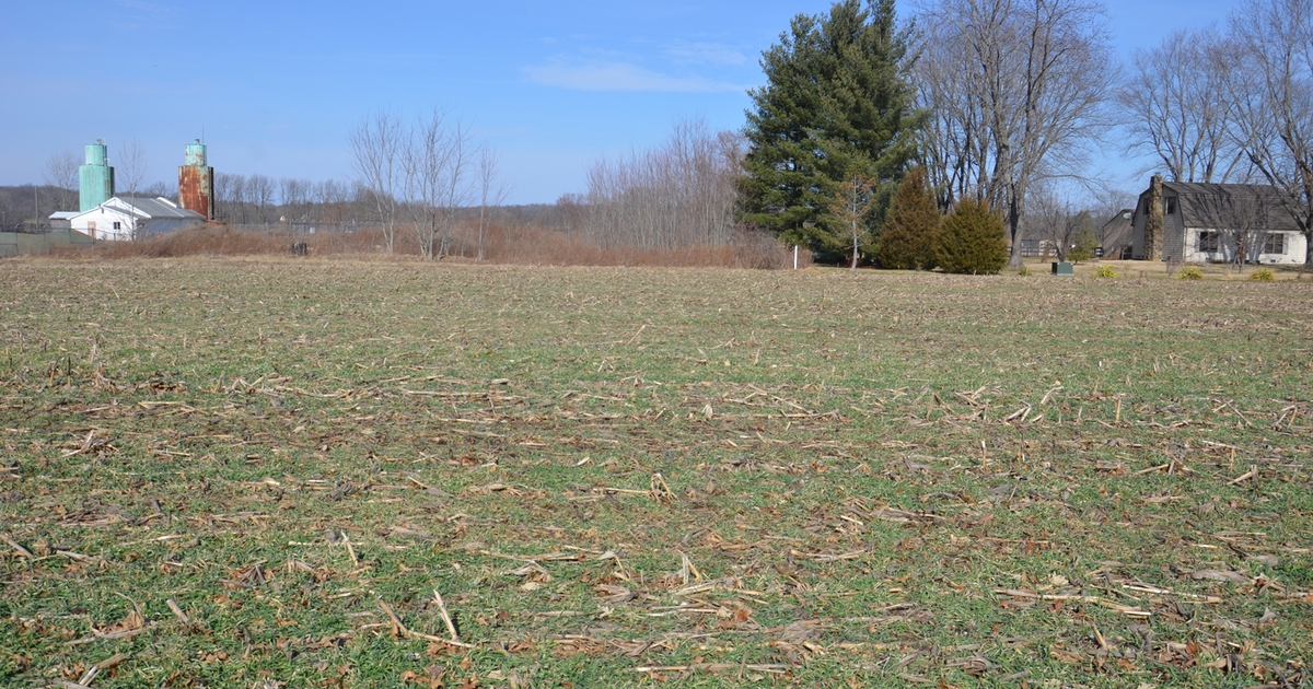 10 reasons to use cover crops on your farm