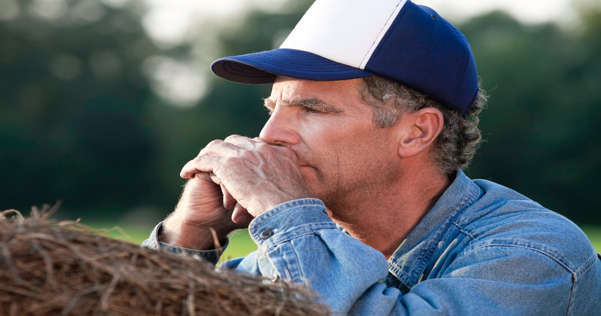 When anxiety strikes on the farm