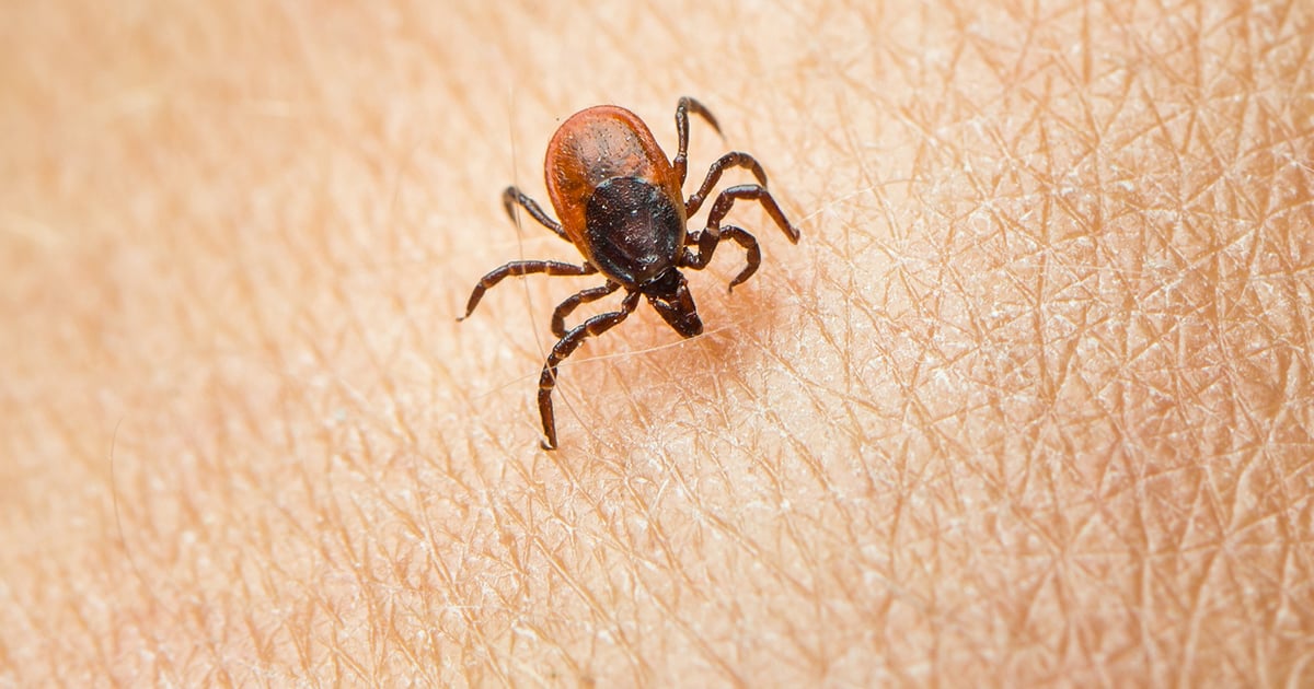 4 Ways To Reduce Tick Bites When Farming