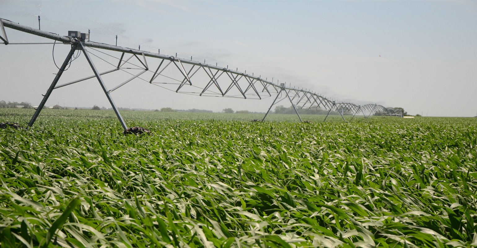 Moving forward with nitrogen management