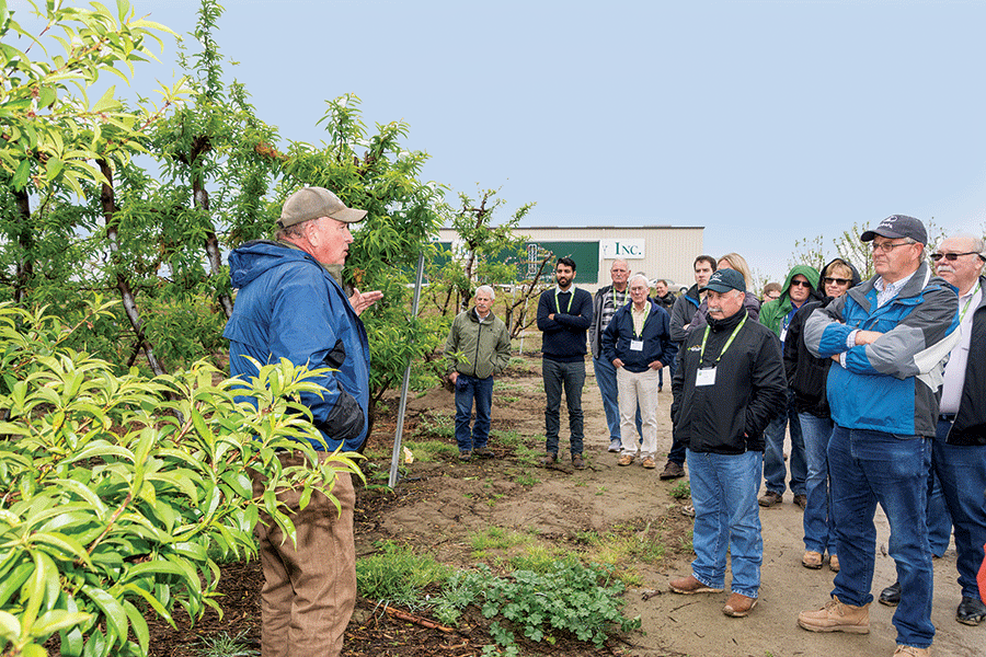 Burchell Nursery: Success with almond breeding program