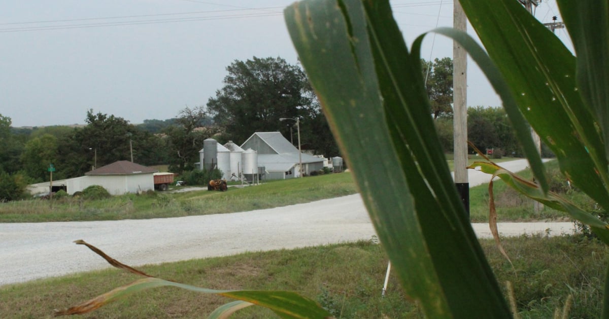 7 steps to good farm decision-making