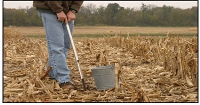 Top 5 ag stories: Soil health, SCN sampling and abnormal corn ears ...