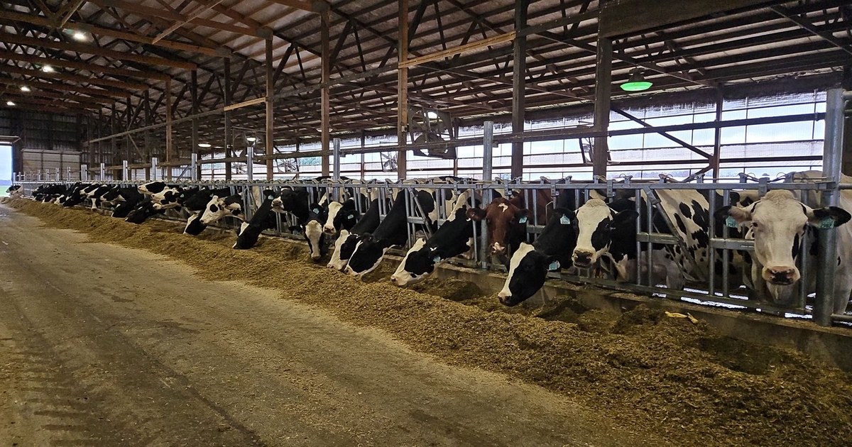 Bird flu hits Wisconsin dairy farm for first time