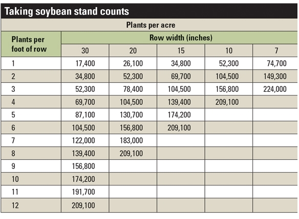 Soybean stand evaluation, replant decisions and hula hooping