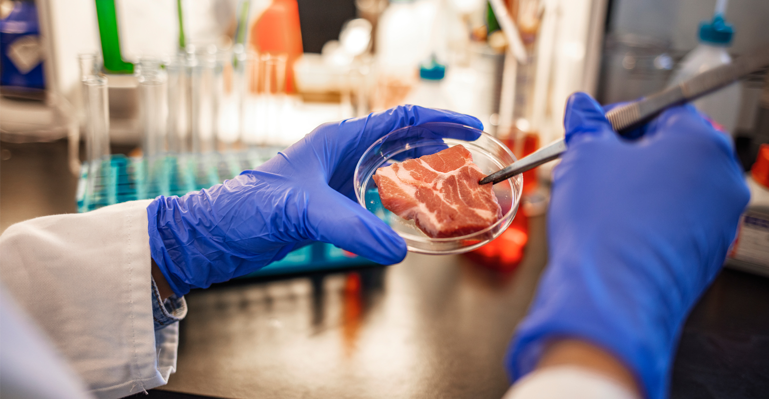 UW scientists team with meat industry to provide food safety solution