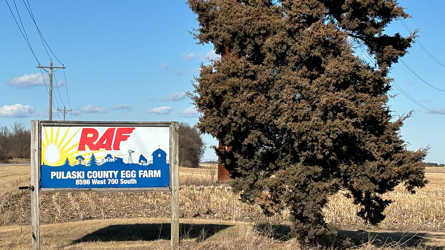 Rose Acre Farms hit with bird flu at Seymour, Ind., site